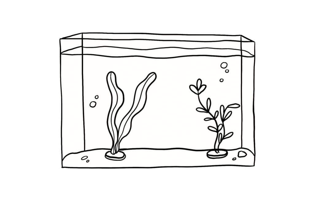 The Aquarium-methode | Maak de tekenaar in iedereen wakker